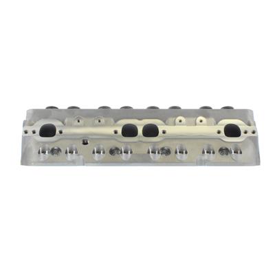 Trick Flow® GenX® 185 Cylinder Heads for GM LT1 TFS-30410008-M54 ...