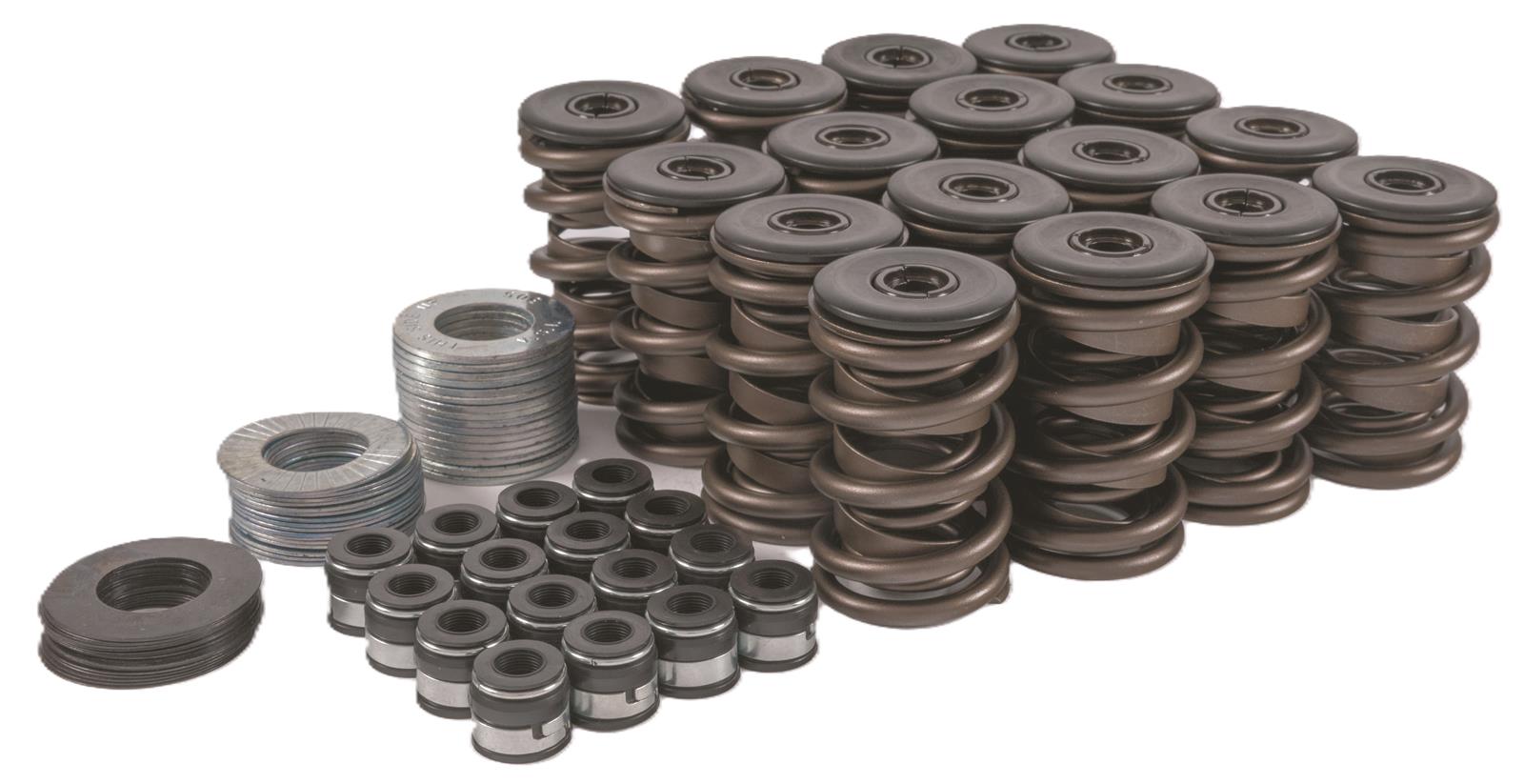 Trick Flow Specialties TFS-2500200 Trick Flow® Valve Spring Upgrade ...