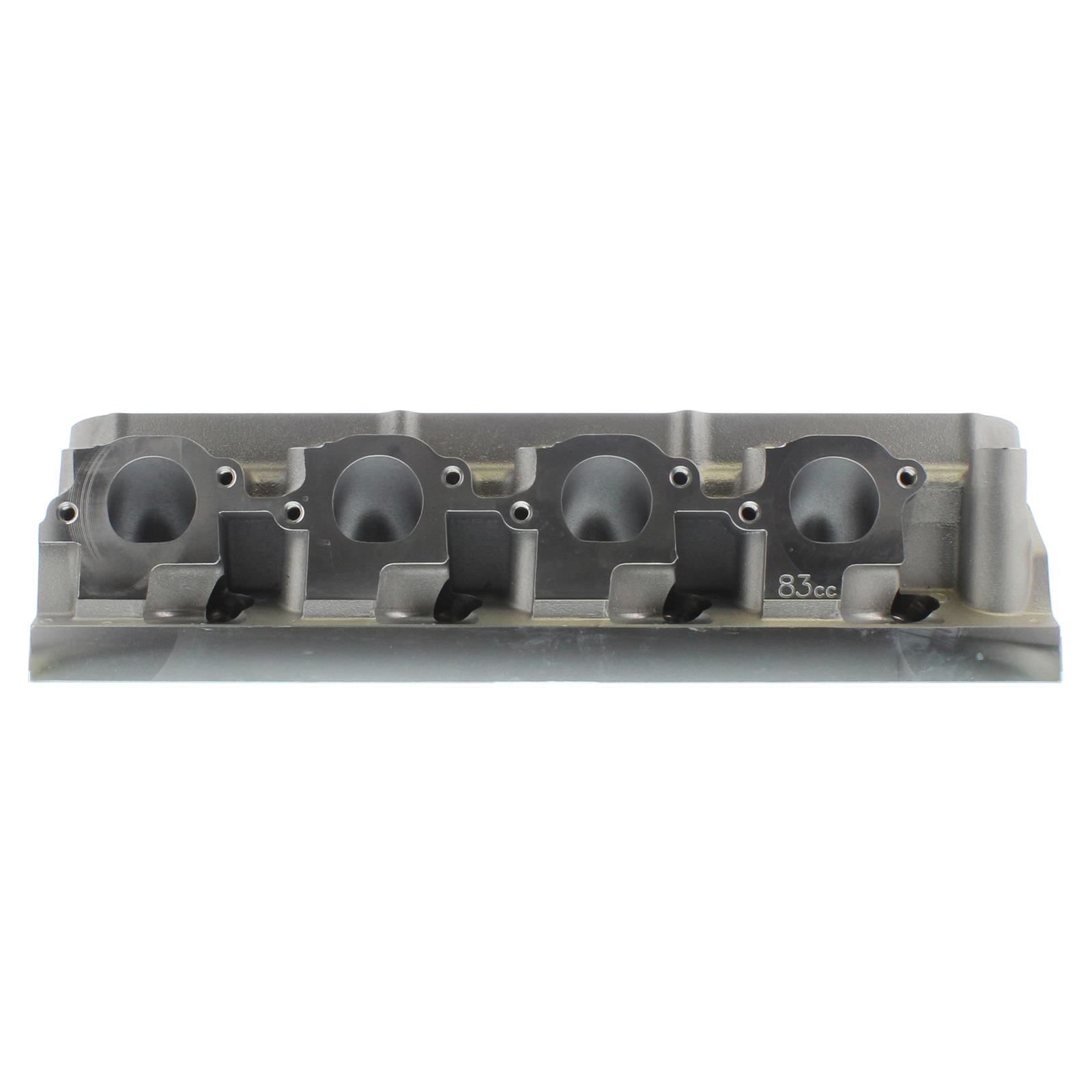 Trick Flow Specialties TFS-5451B001-M83 Trick Flow® PowerPort® A460 340 ...